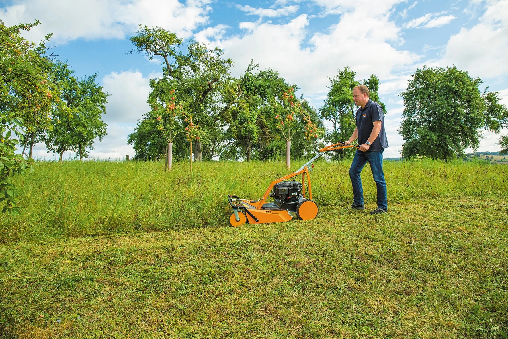 AS 62 4T B&S High Grass Mower from Dermot Casey Hire and Sales